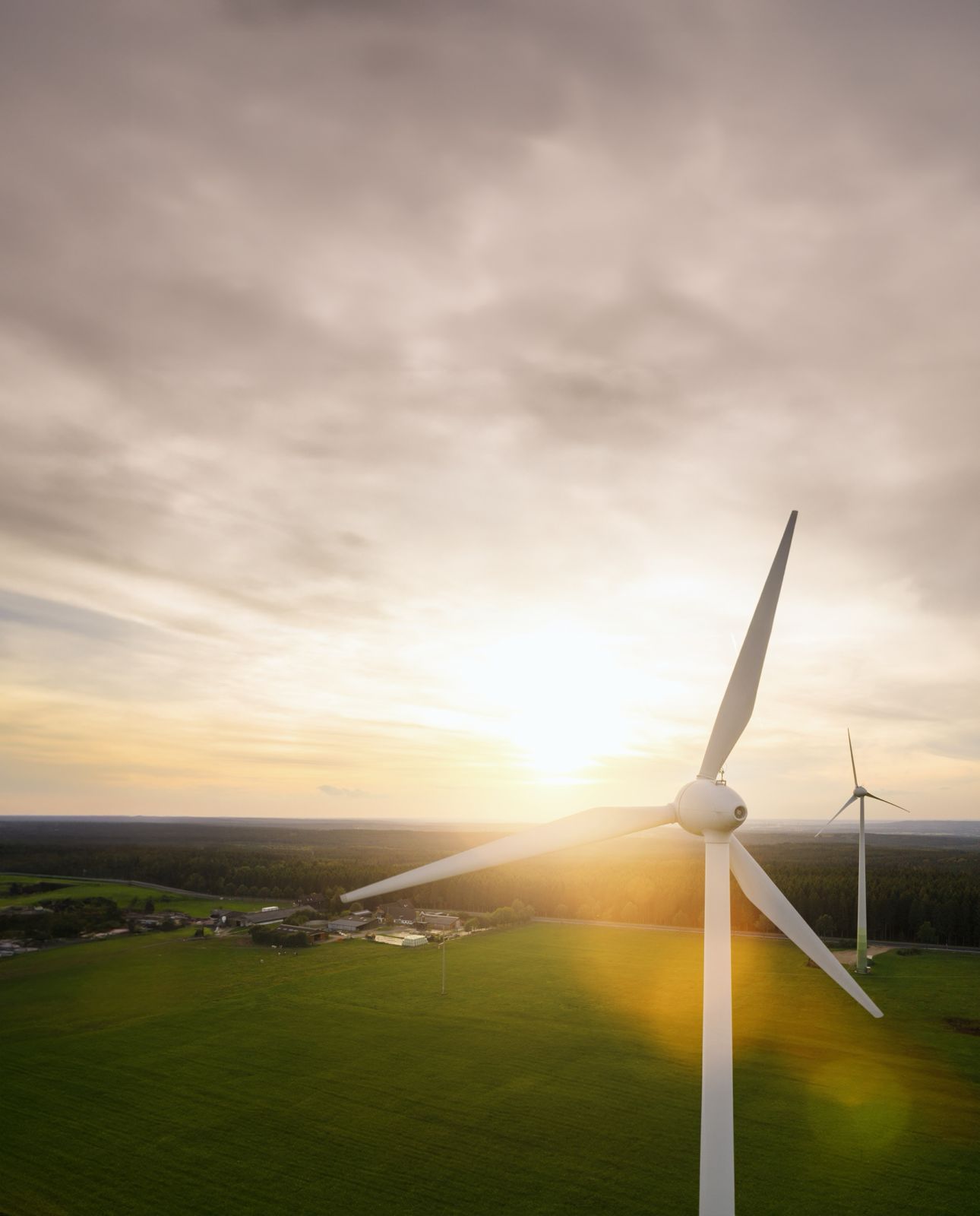 Sustainability - Saray